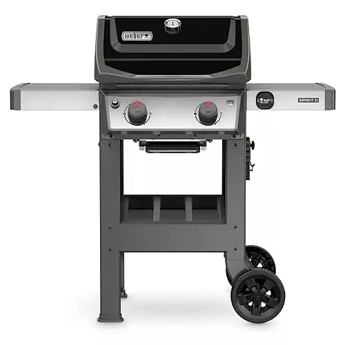 Types of Grills [6 Main Types Explained] - Our Guide | Own The Grill